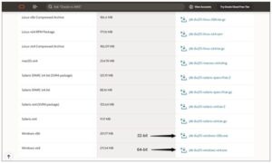 How to Install Java on Windows 10? - UseMyNotes
