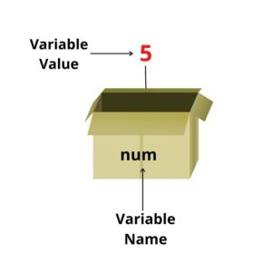 What are Variables in JavaScript? - UseMyNotes