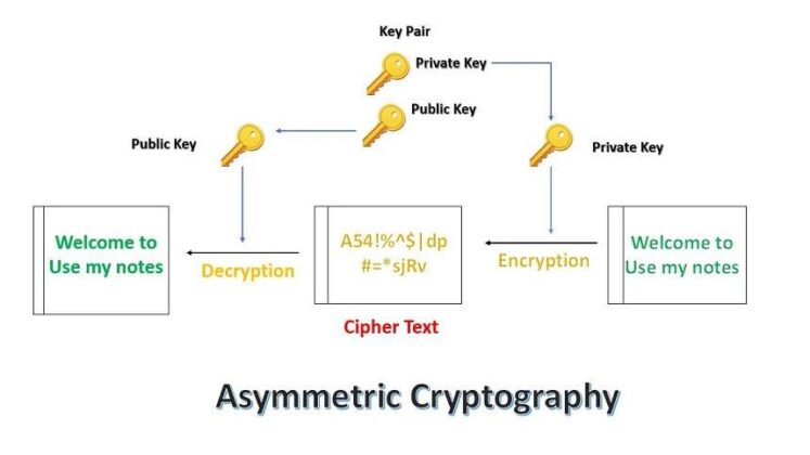 What is SSL (Secure Socket Layer)? - UseMyNotes