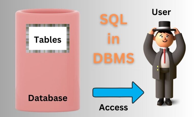 What is SQL in DBMS? - UseMyNotes